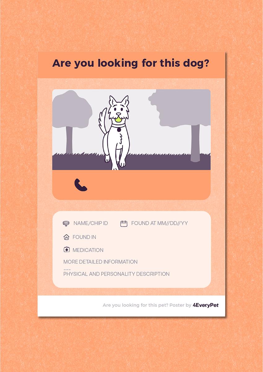 What Should I Do If I Find A Pet 4everypet